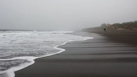 30 Free Desktop Wallpaper Without Downloading HD - Women Lifestyle