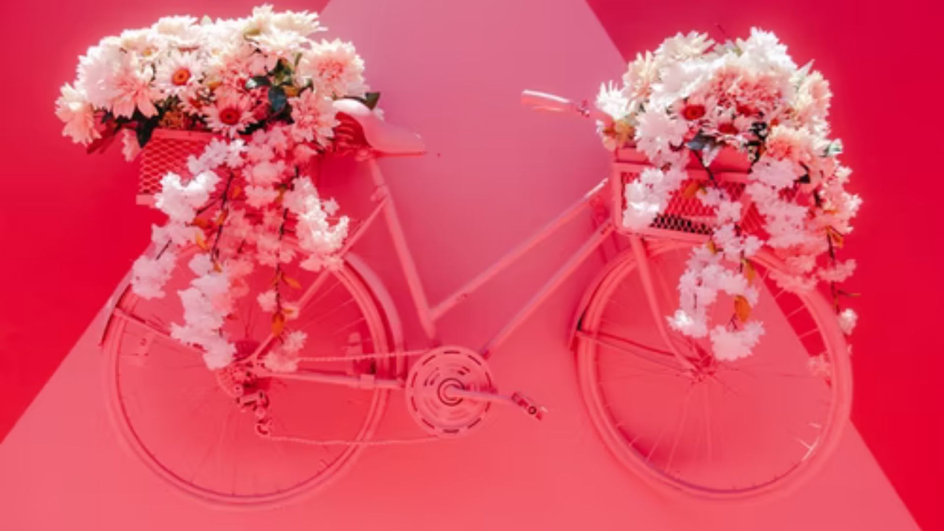 30 Free Desktop Wallpaper Without Downloading HD - Women Lifestyle